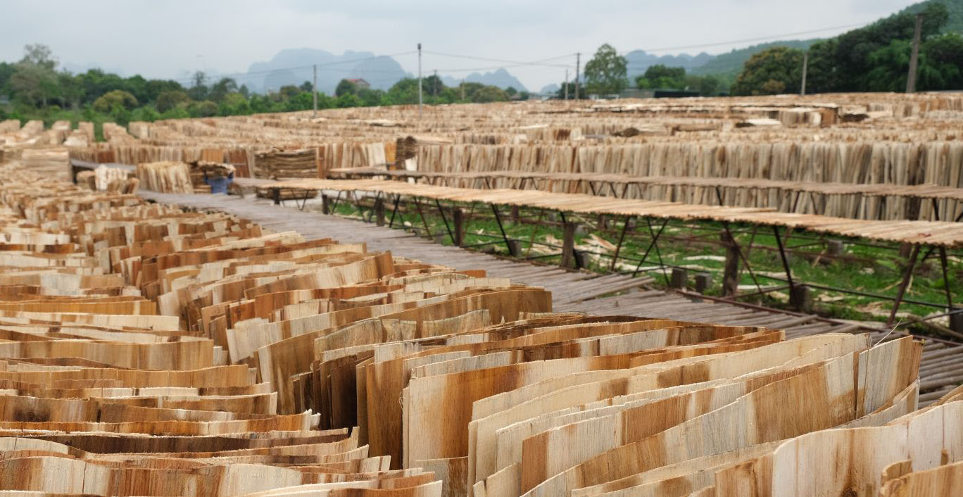 4 TYPES OF CORE VENEER IN VIETNAM PLYWOOD - vietnamplywood